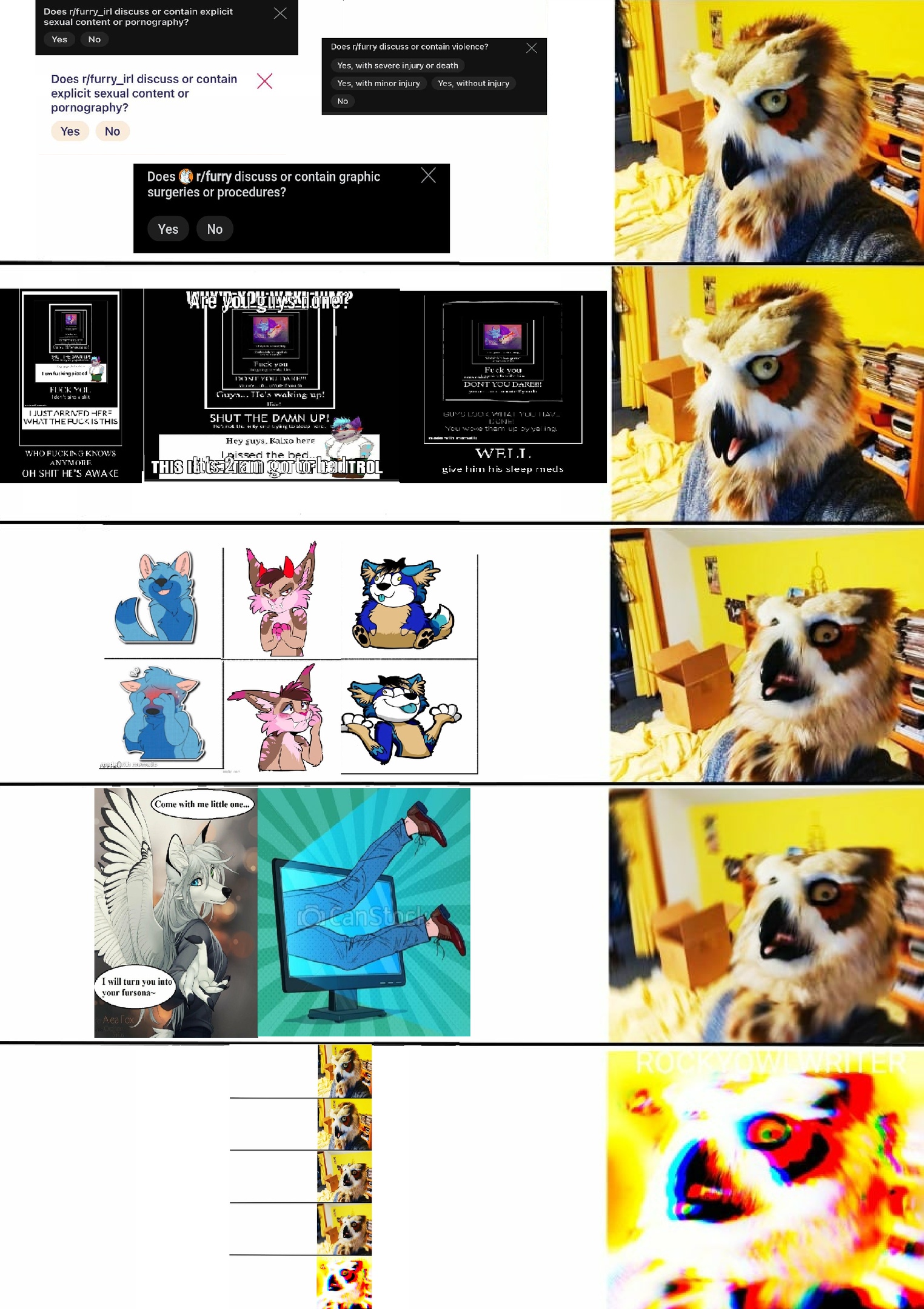 Furry_irl | Scrolller