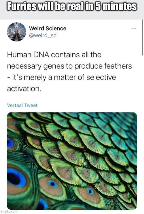 Furry rule | Scrolller