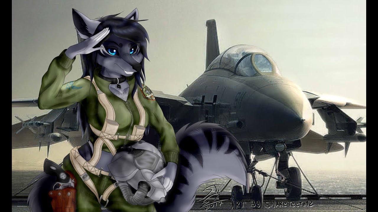 Fursed_ace_combat | Scrolller