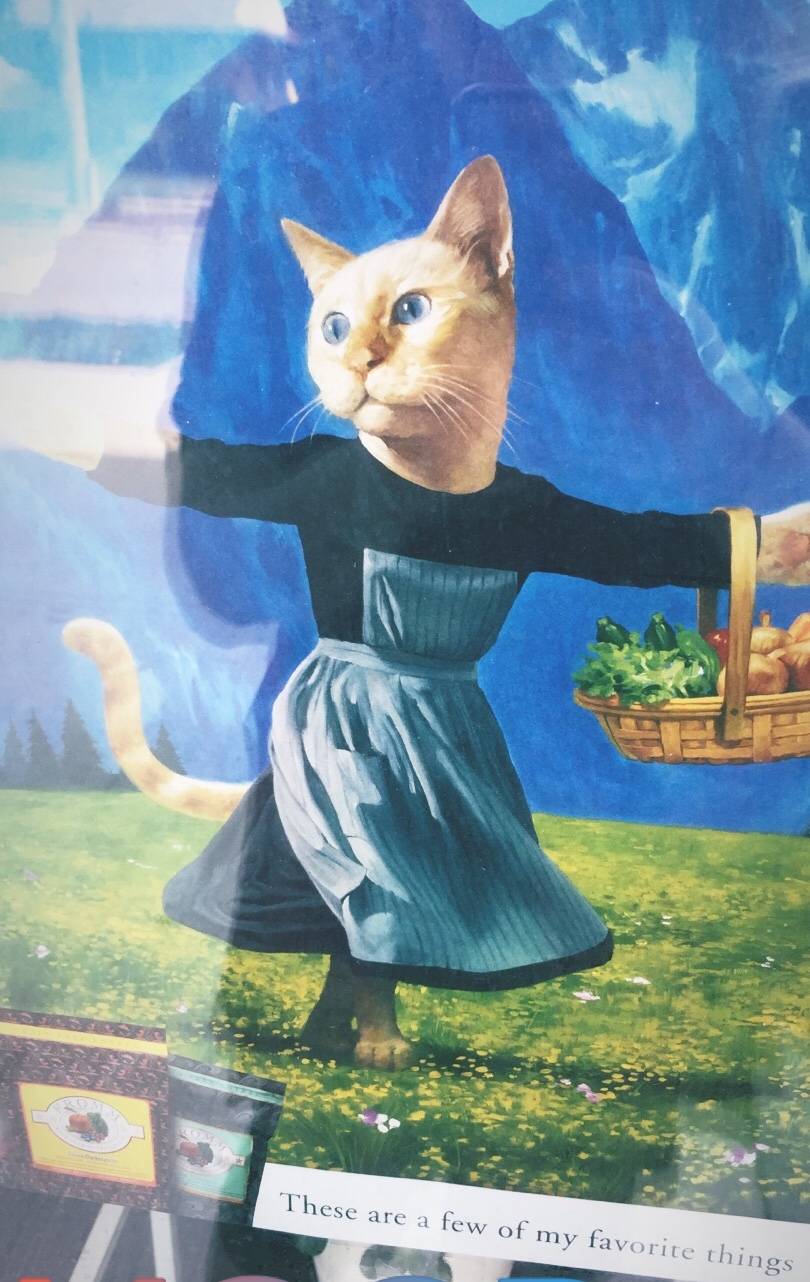 fursed_advertisement | Scrolller