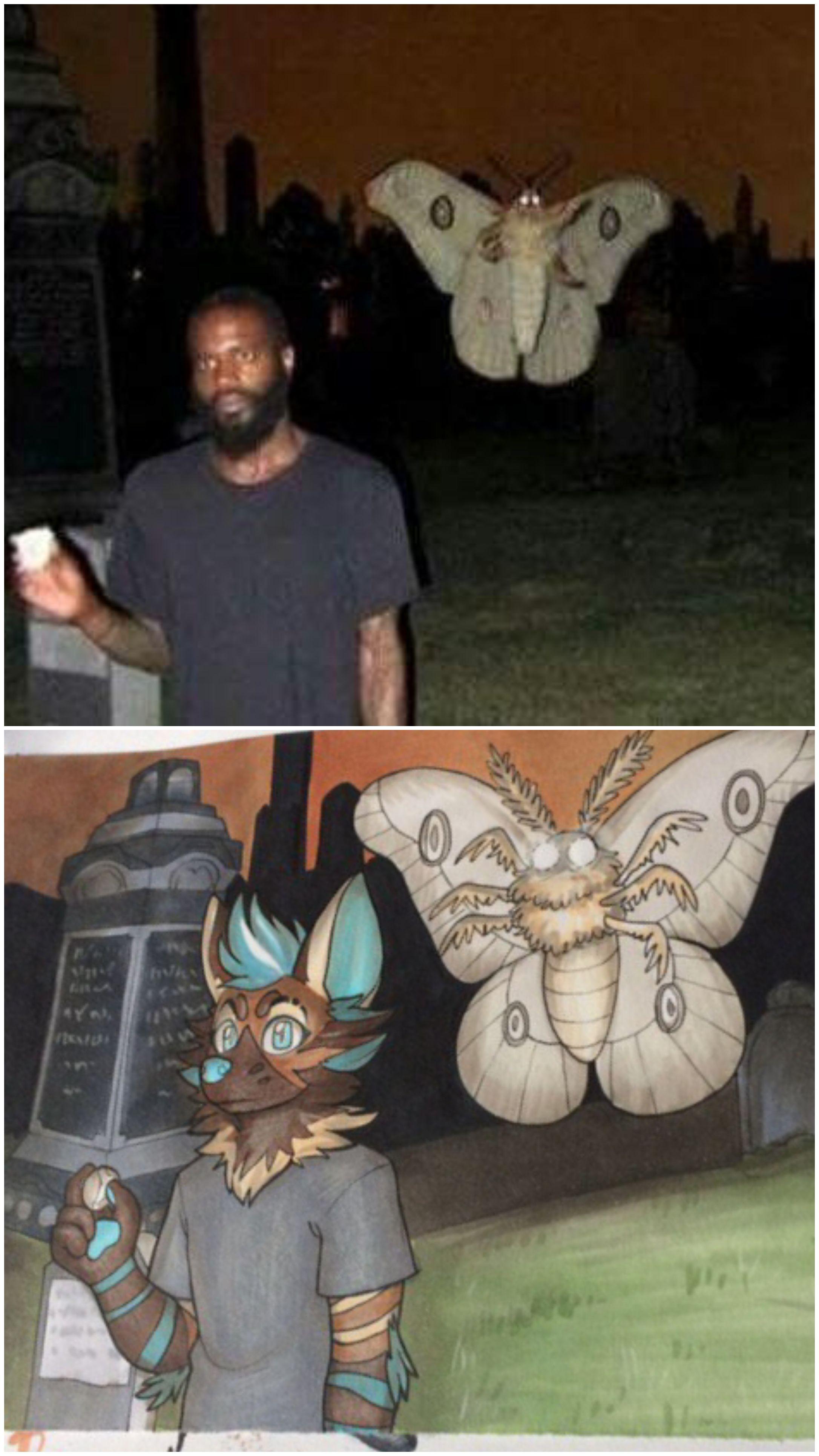 Furryfied moth | Scrolller