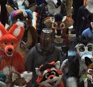 Fursed_Crusader | Scrolller