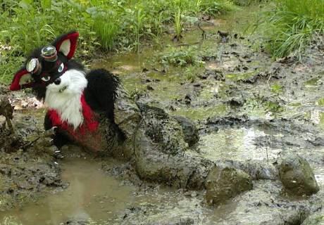 fursed_mud | Scrolller