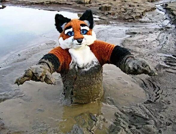 fursed_mudbath | Scrolller