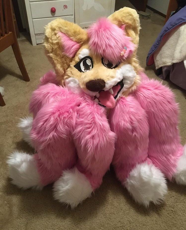 Fursed_octodog | Scrolller
