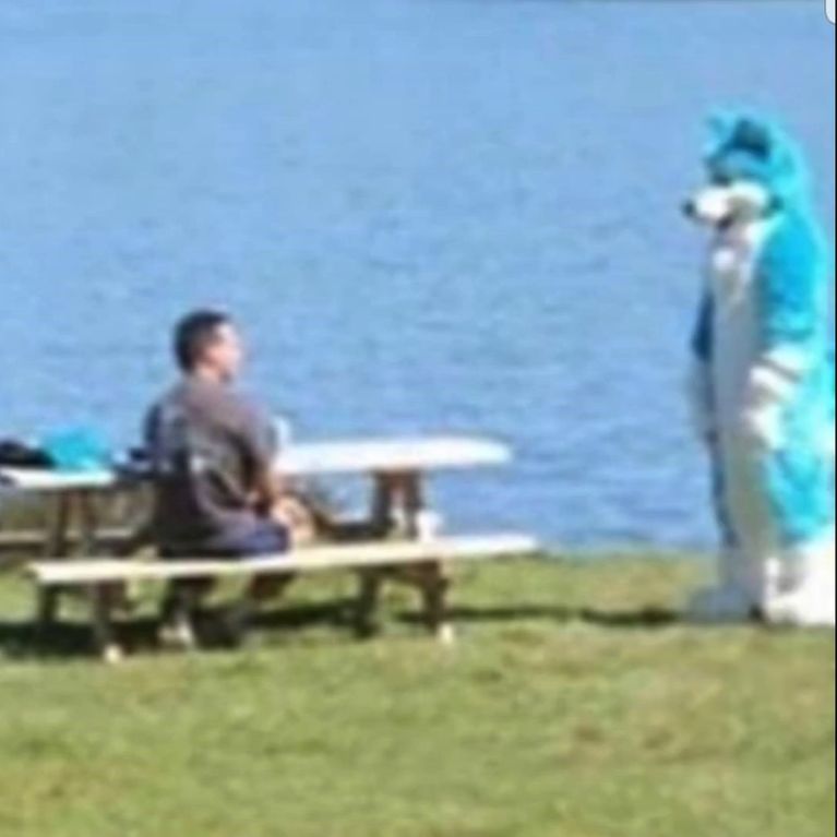 Fursed_Picnic | Scrolller