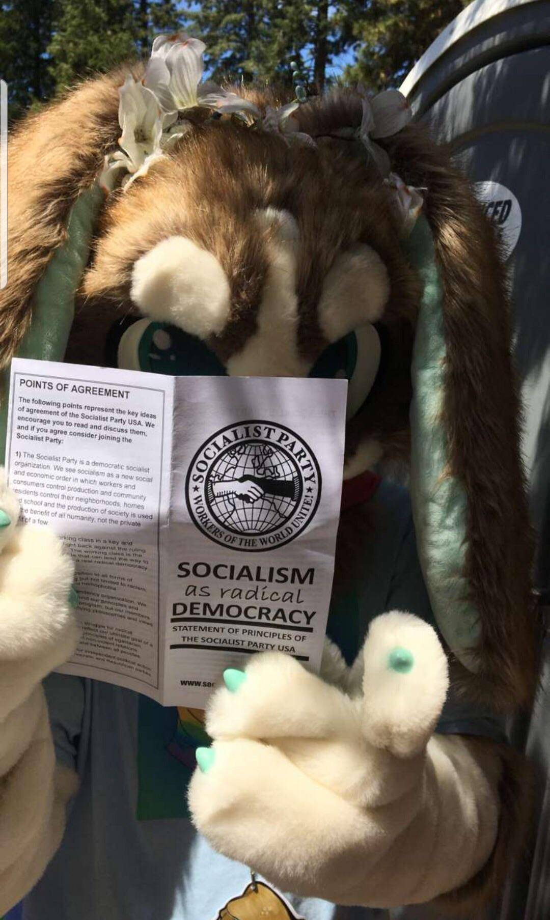 fursed socialist | Scrolller
