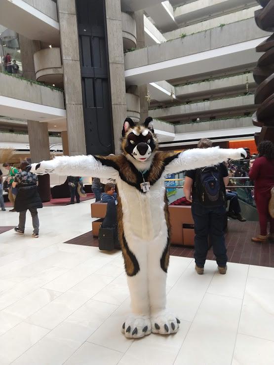 fursed_tpose | Scrolller
