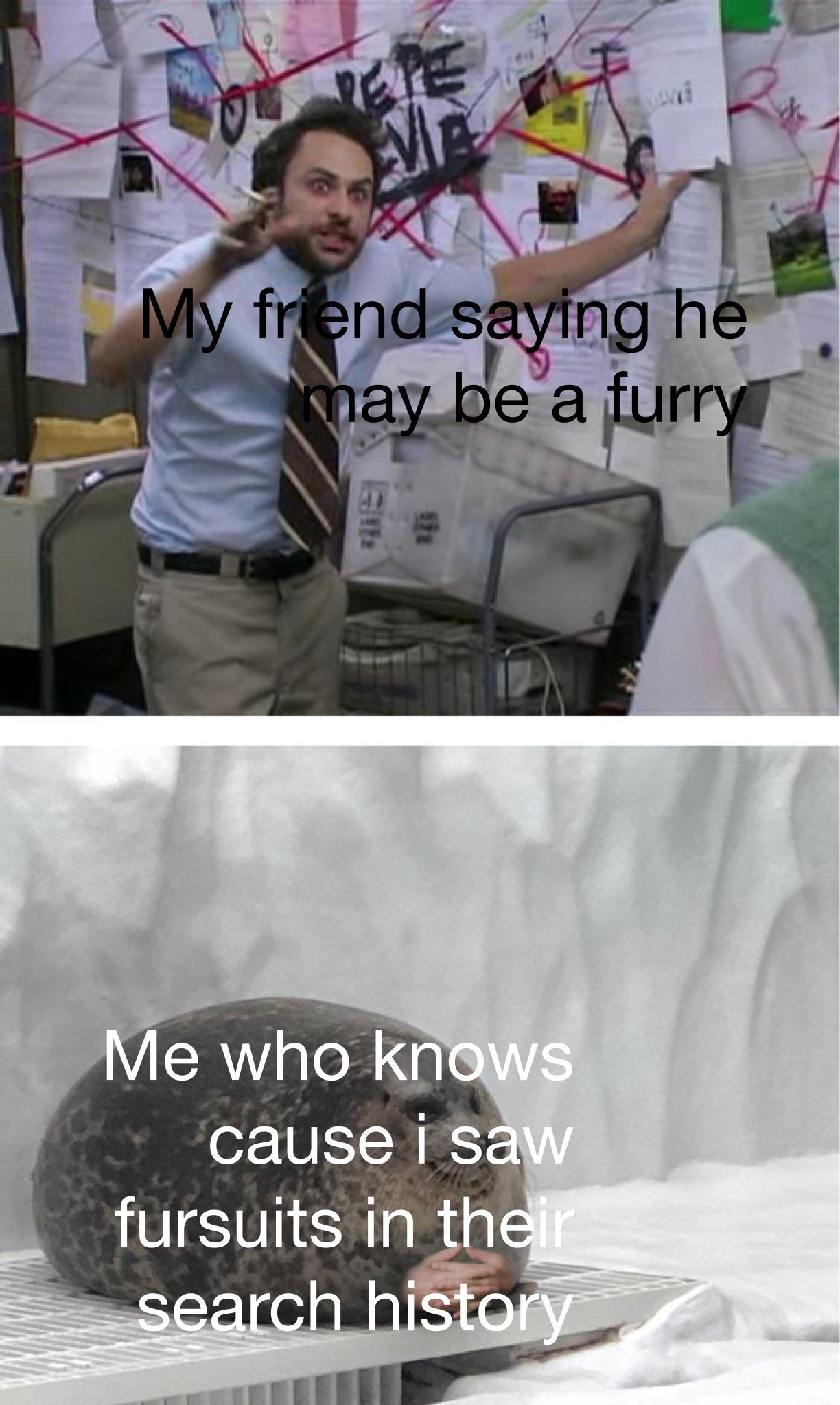 Fursuit_irl | Scrolller