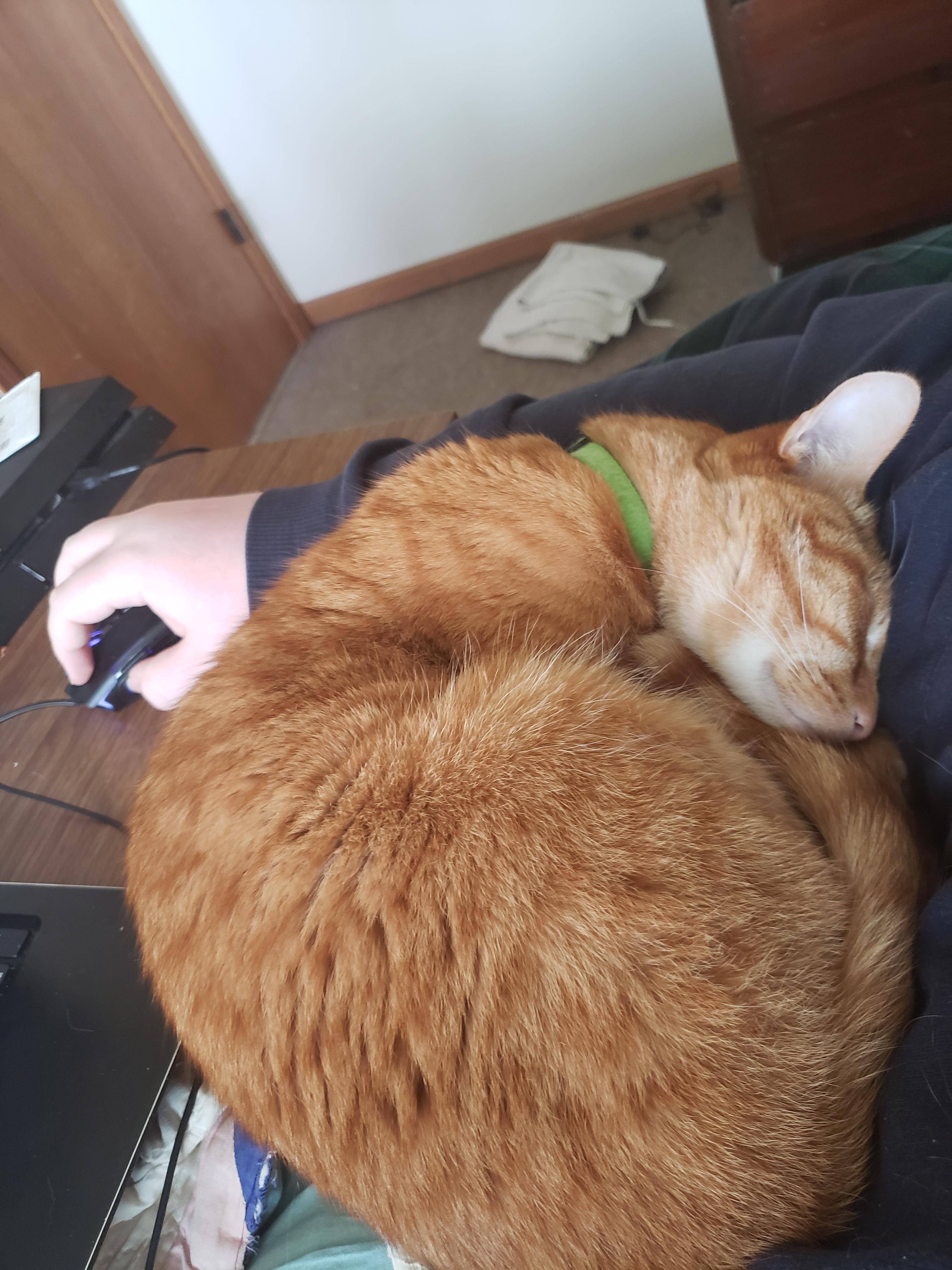 Gaming buddy | Scrolller