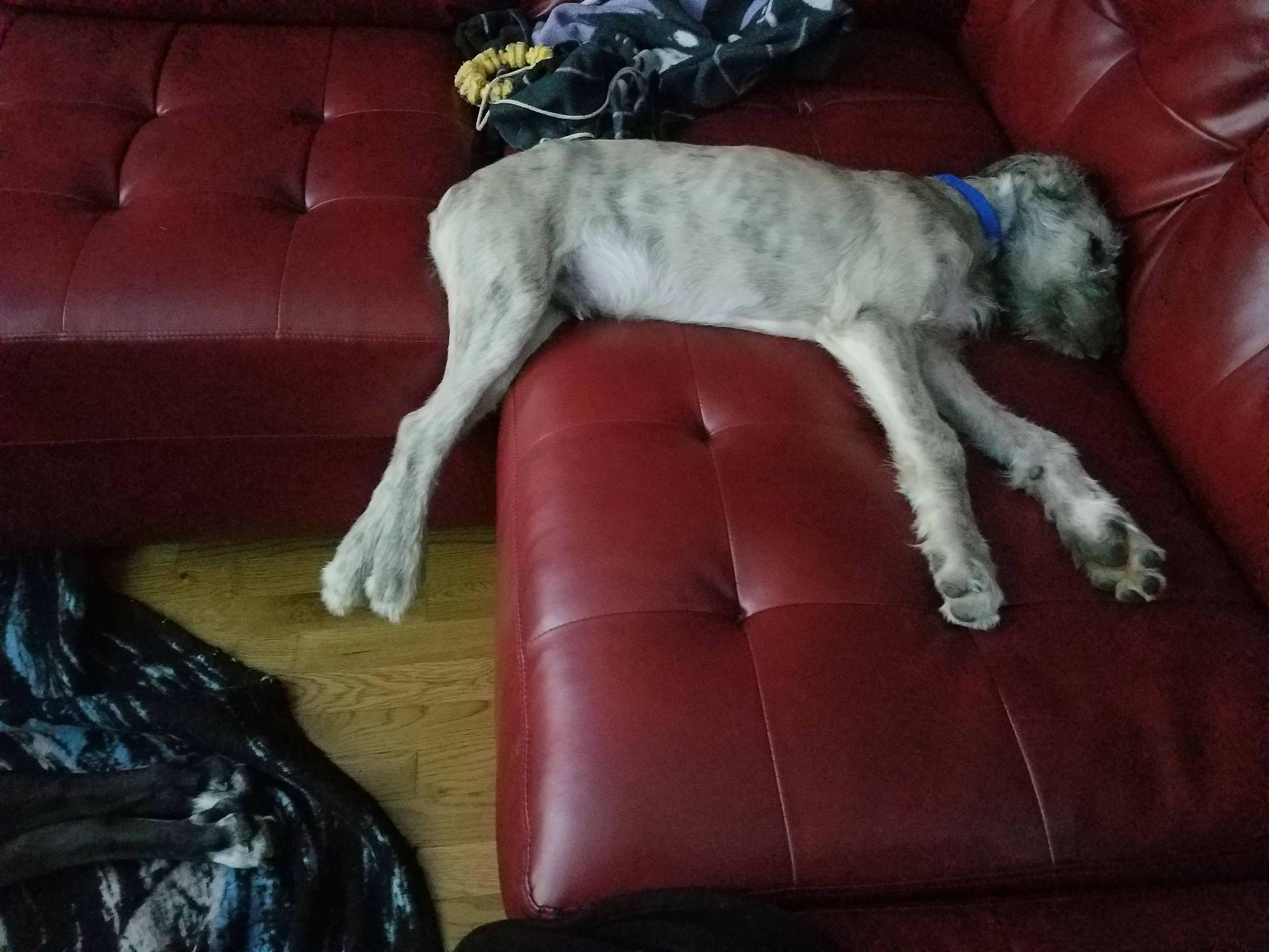 Gandalf just hangin' around | Scrolller