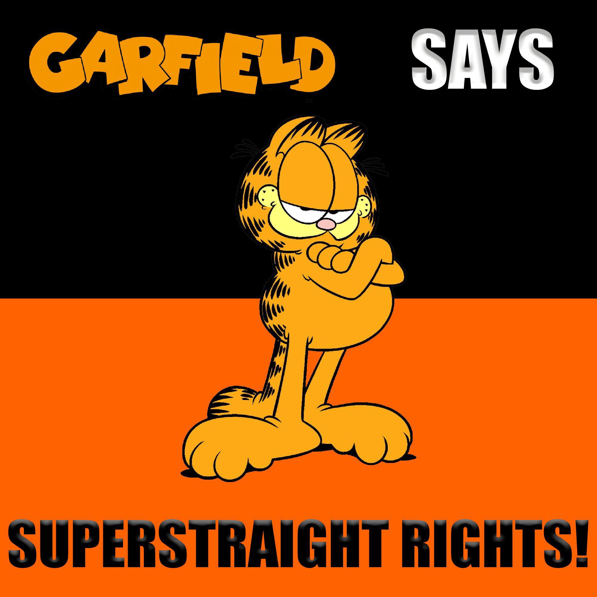 Garfield Approves! | Scrolller