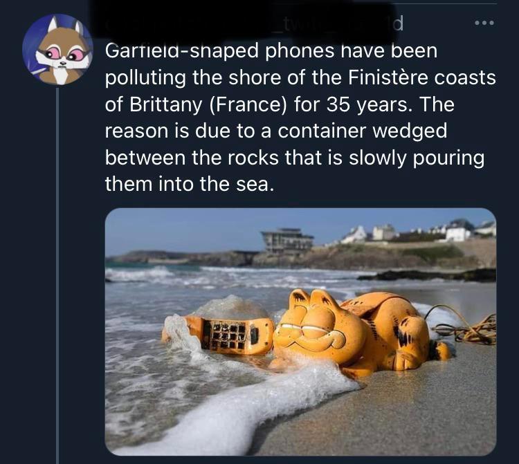 garfield rule | Scrolller