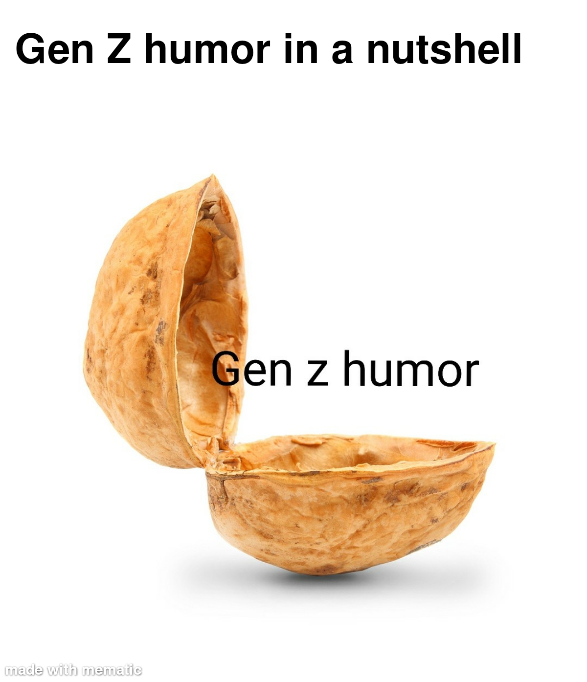 Gen Z humor in a nutshell | Scrolller