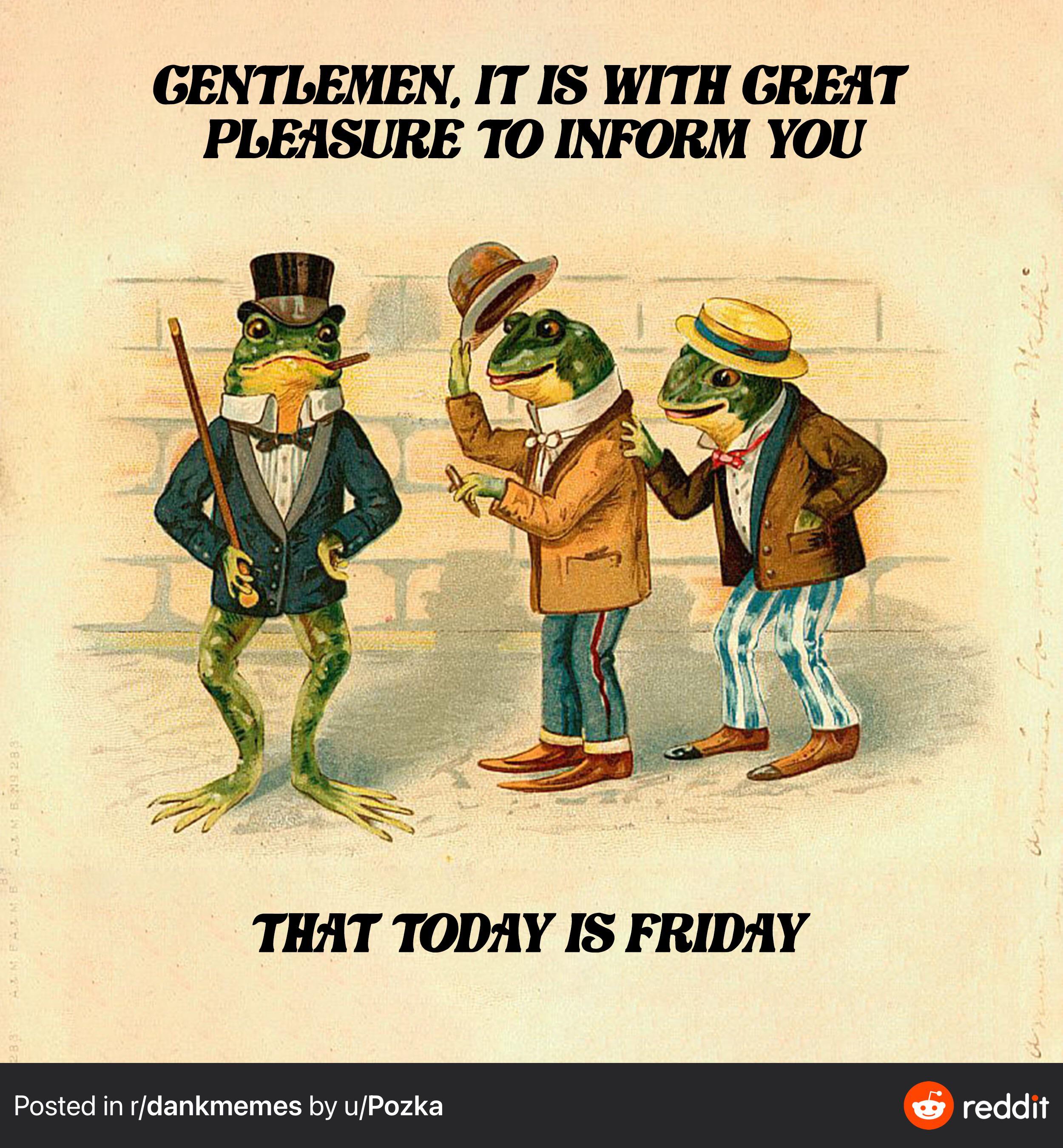 gentlemen | Scrolller