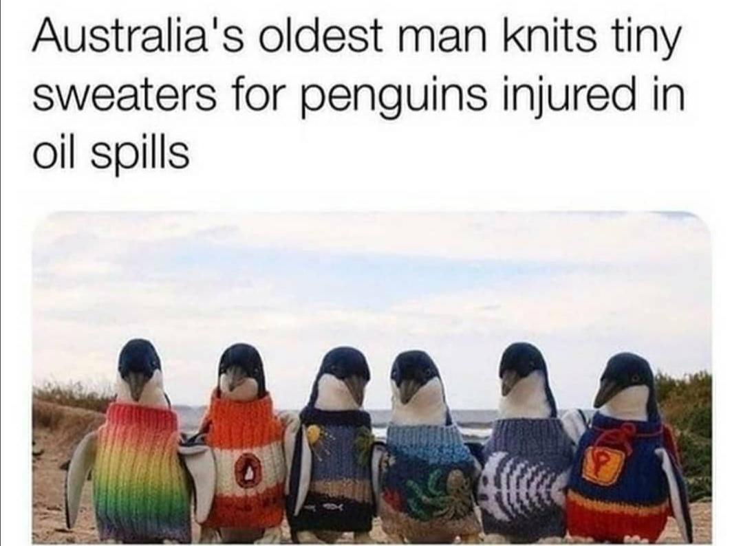 George look at the cool penguins! | Scrolller