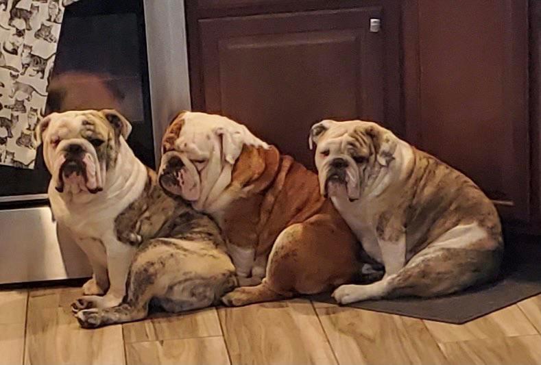 Get on the train! | Scrolller