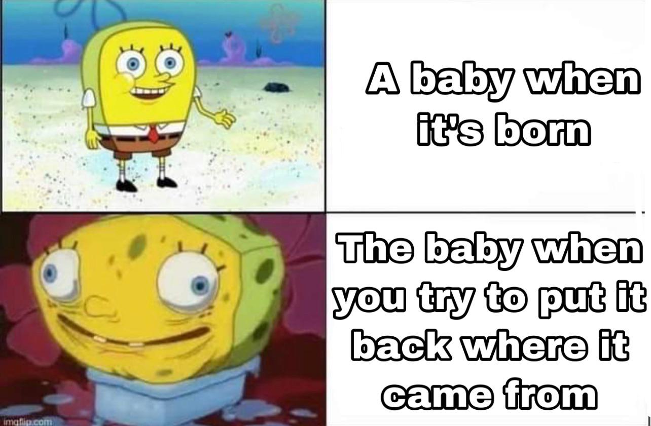 Getting in before the template is overused | Scrolller