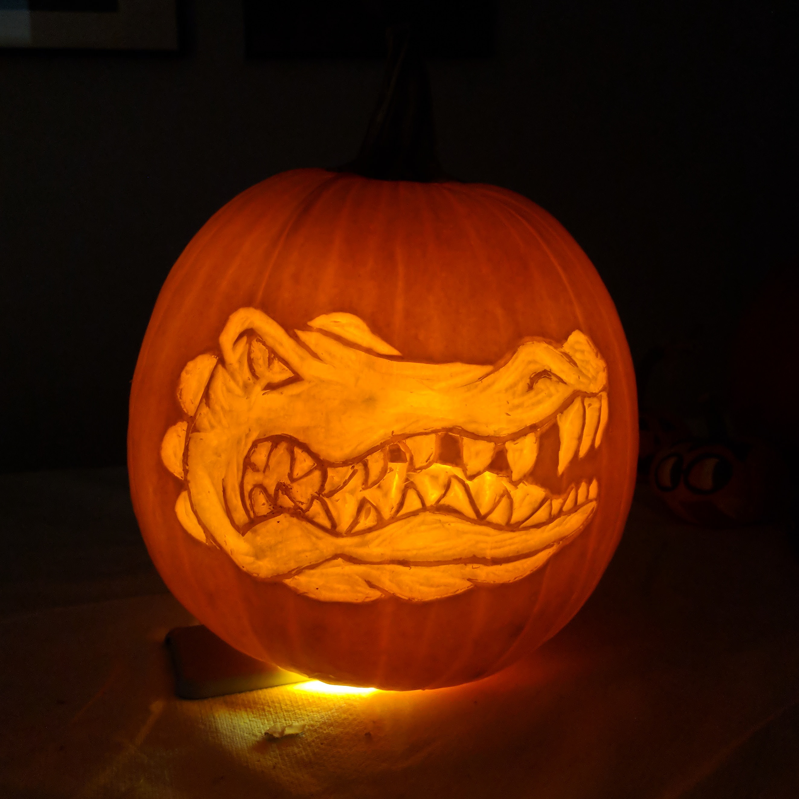 Getting ready for the cocktail party. Go Gators! | Scrolller