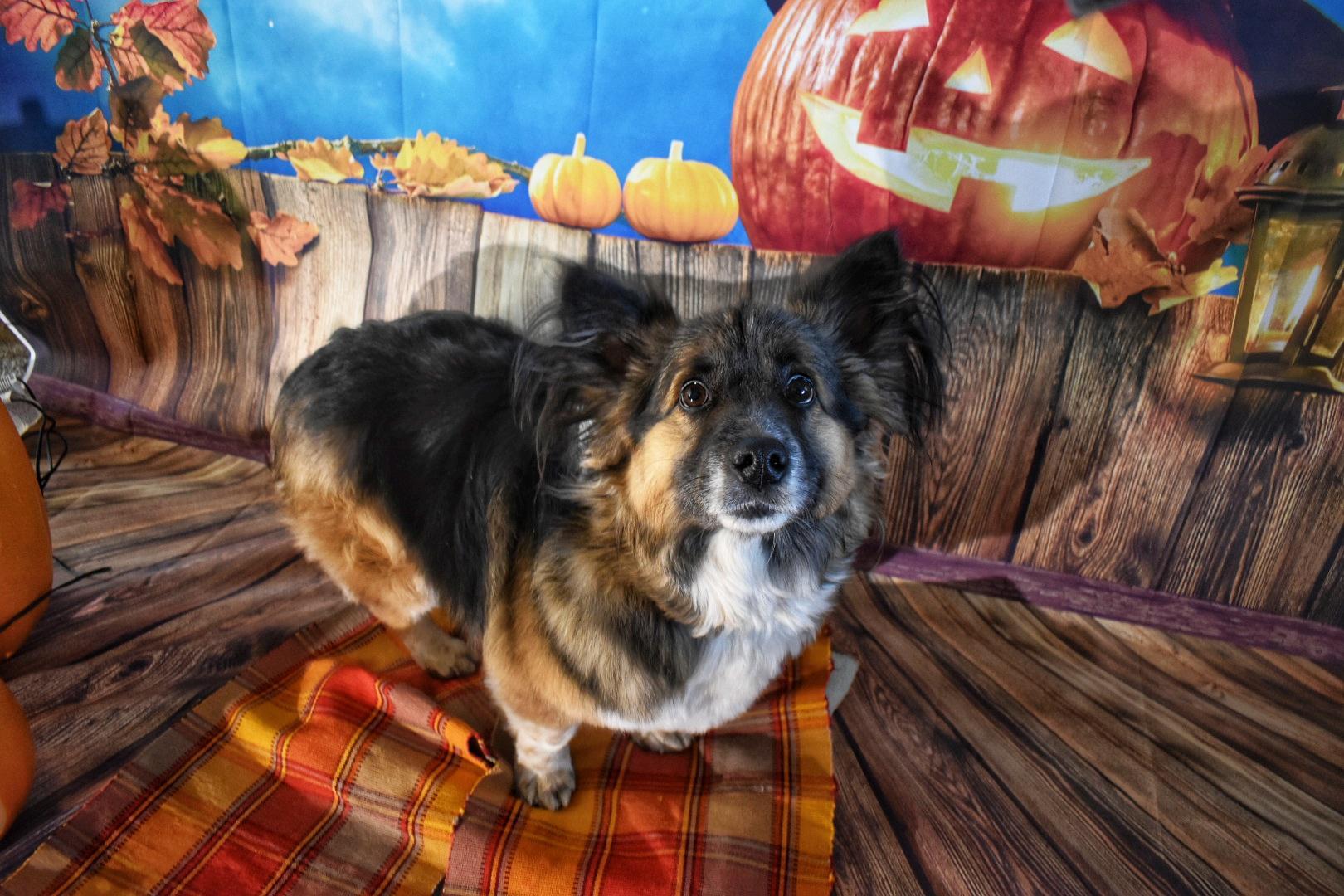 Getting spooked | Scrolller