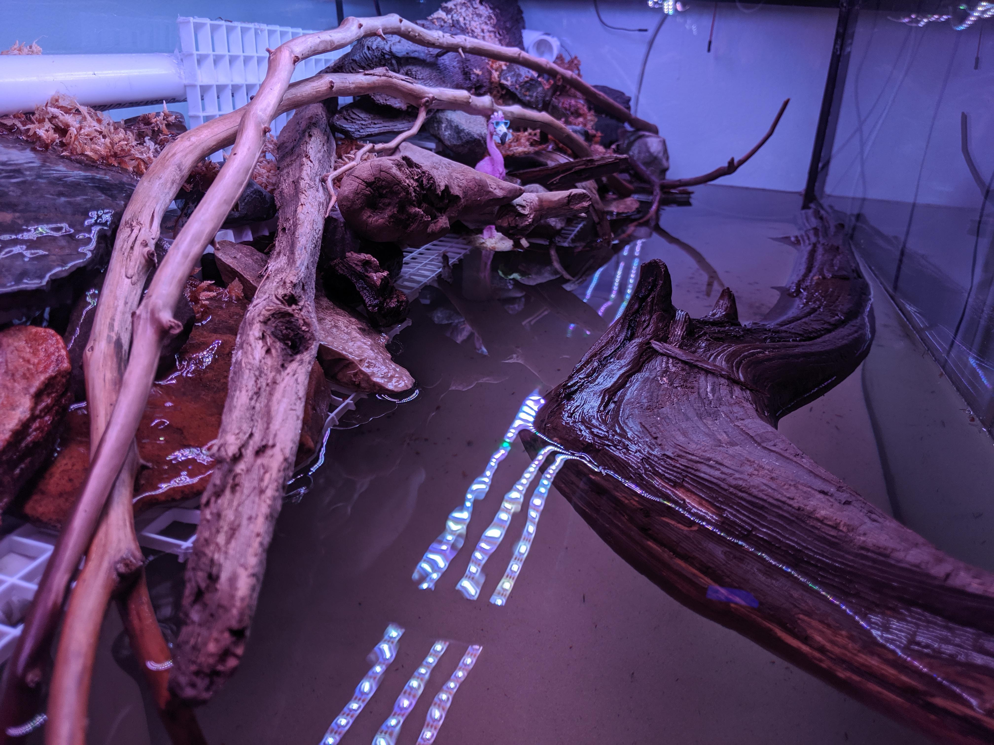 Getting the shoreline together. | Scrolller