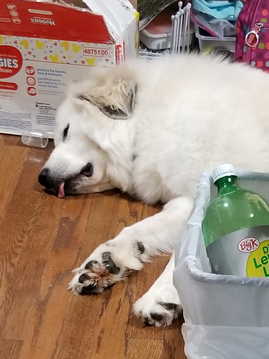 Giant mlep | Scrolller