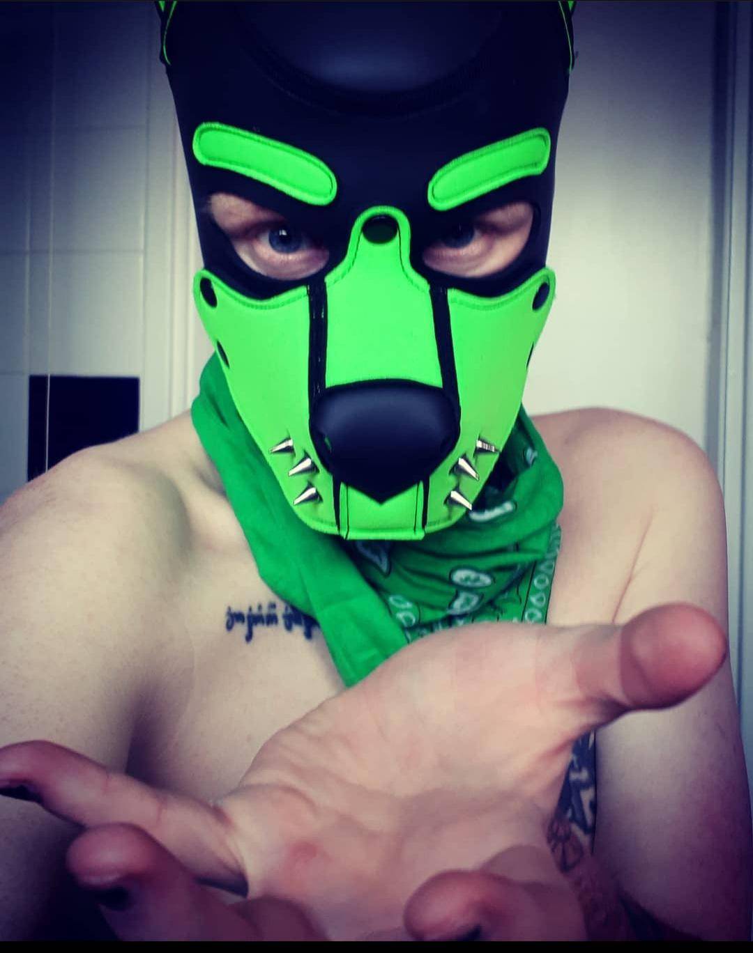 Gib treats | Scrolller