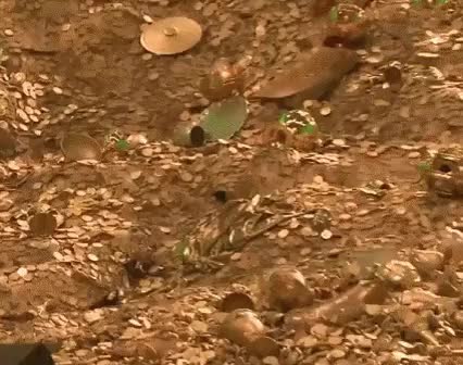 GIF - Bilbo in Smaug's Lair (spoilers) | Scrolller