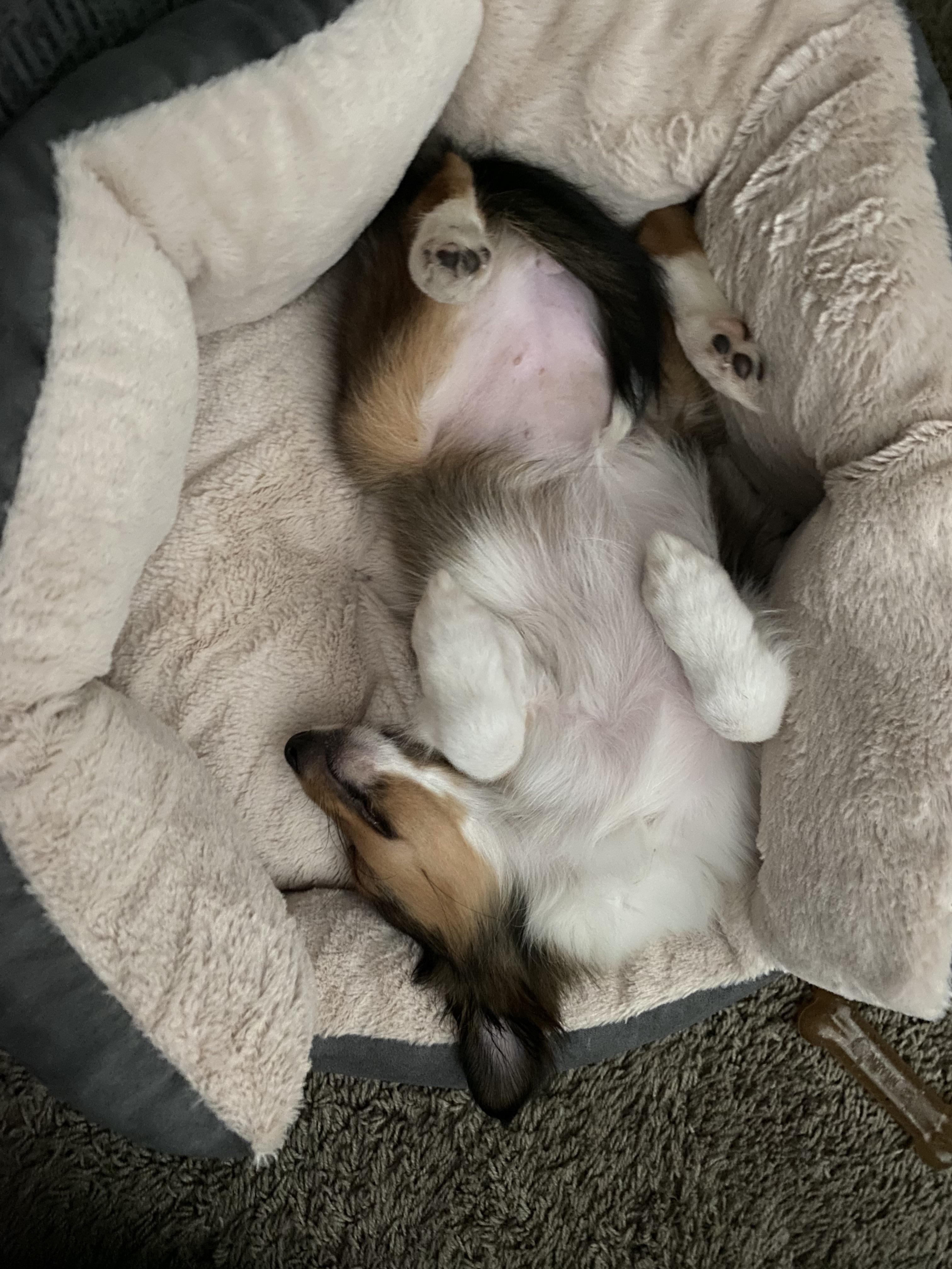 Giving Cecilia her first bath, any tips for shampoos and conditioners? | Scrolller