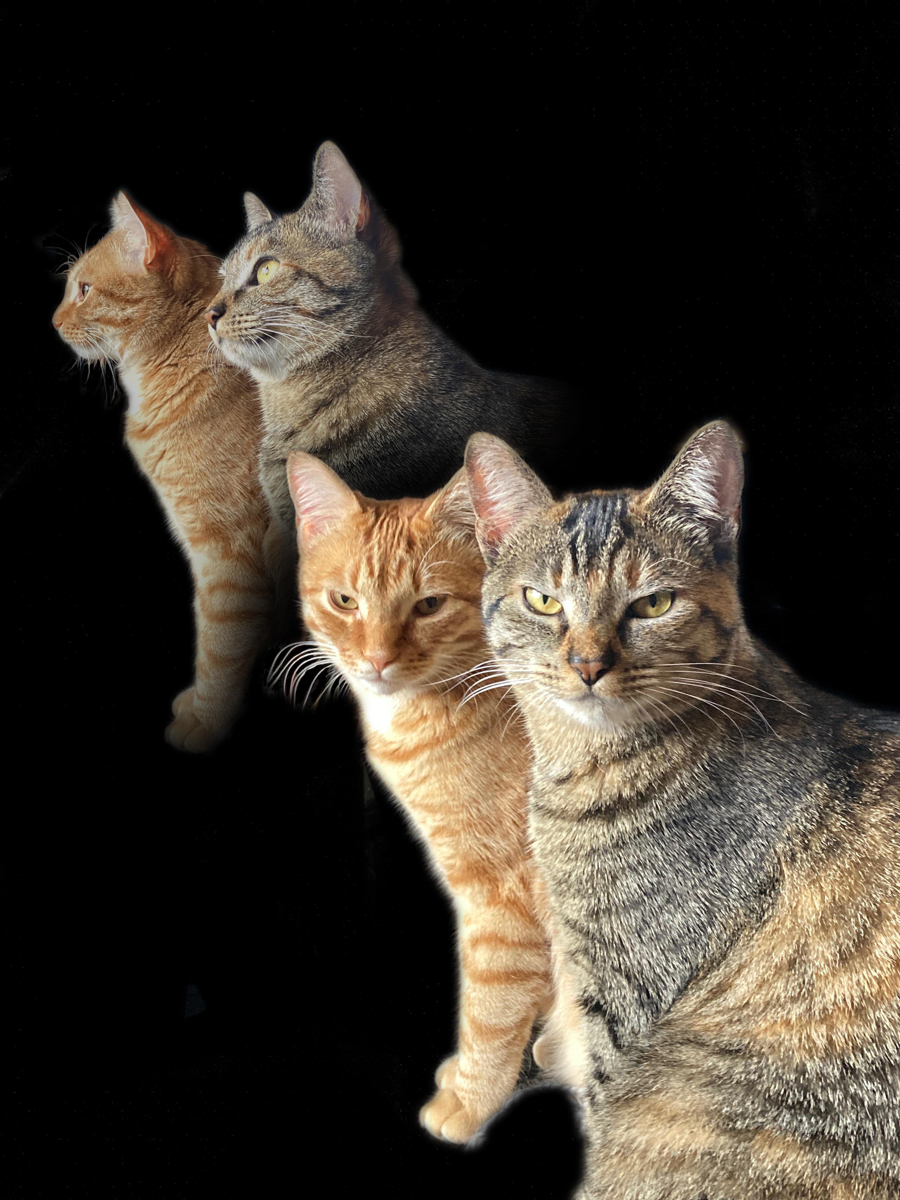 Glamour shots of Lemmy and Baker | Scrolller