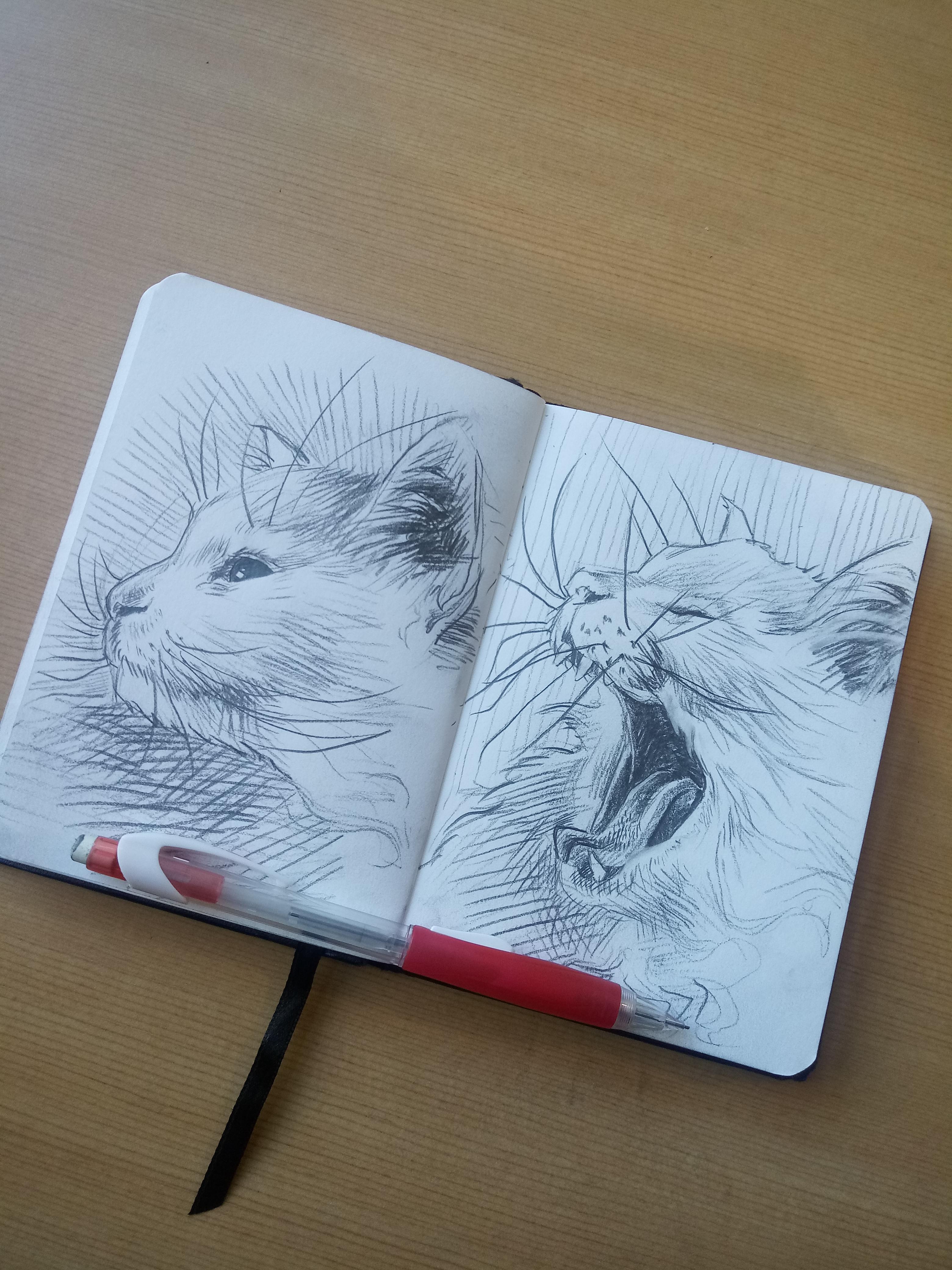 Glamour shots of our boy thurston | Scrolller