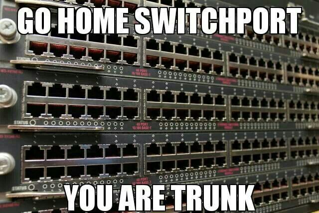 Go Home You Are Trunk Scrolller