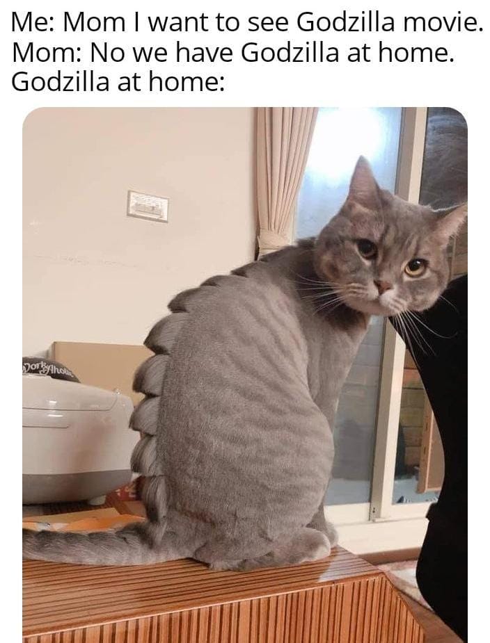 Godzilla at home | Scrolller
