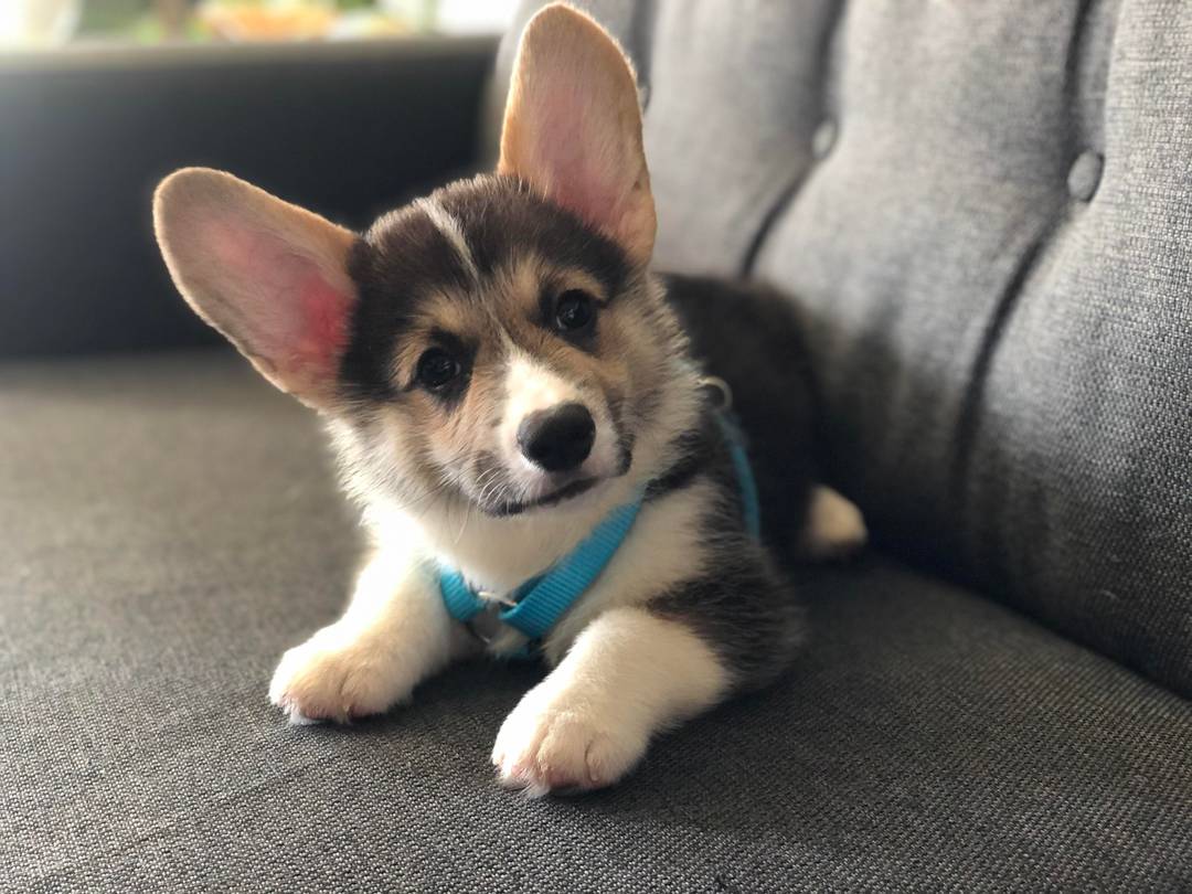 Going down memory lane and missing how small he used to be! | Scrolller