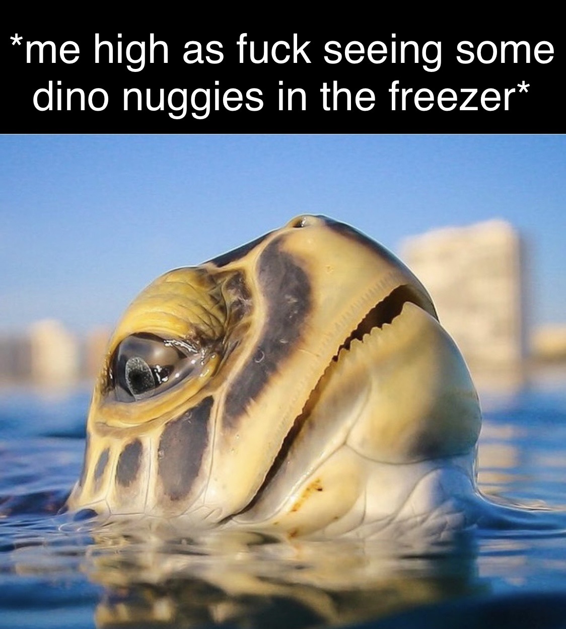 gonna recreate Wash’s first scene from Firefly | Scrolller