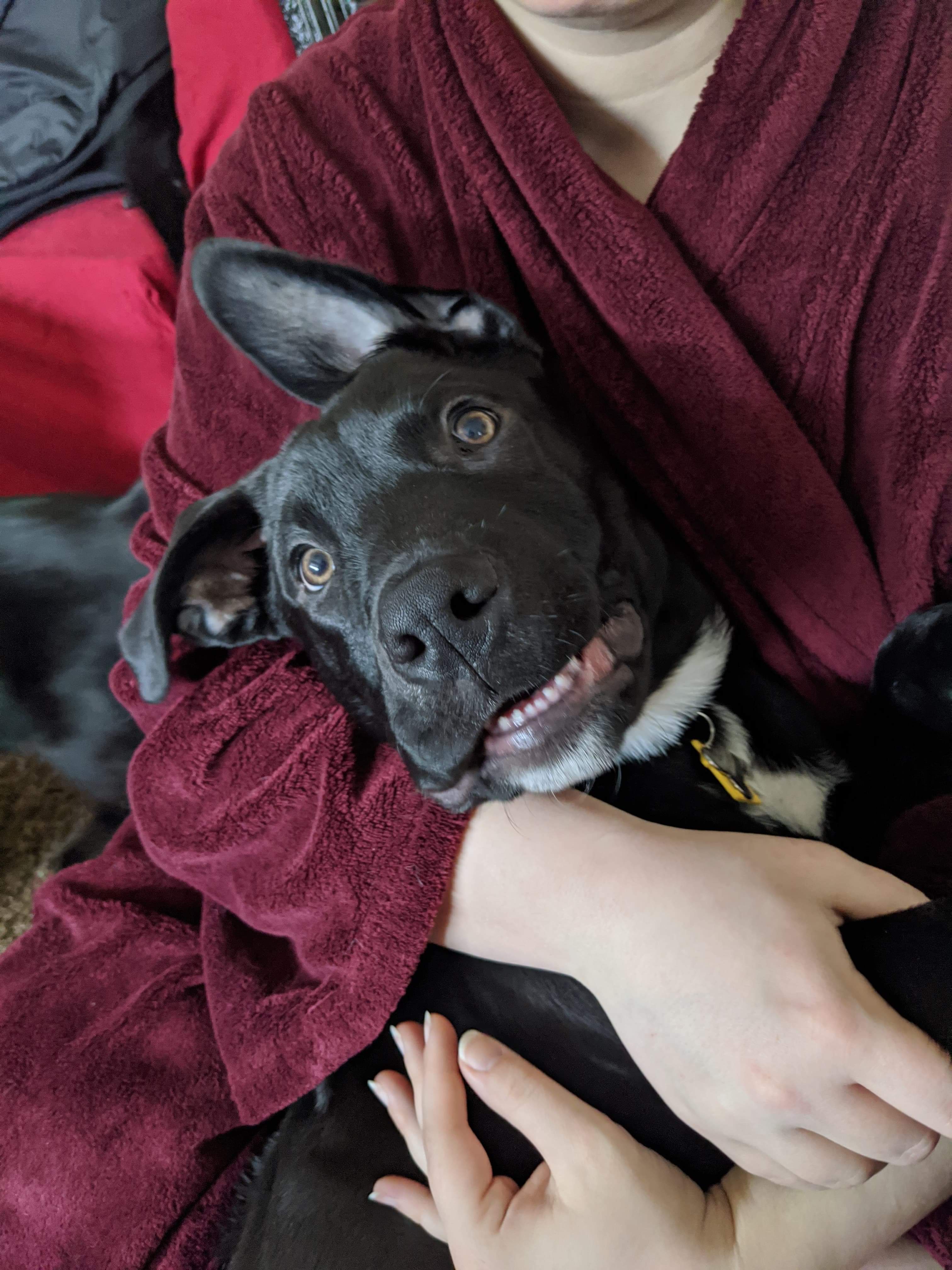 Goober boy Ralph | Scrolller