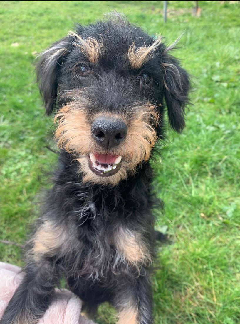 Good afternoon all!! | Scrolller