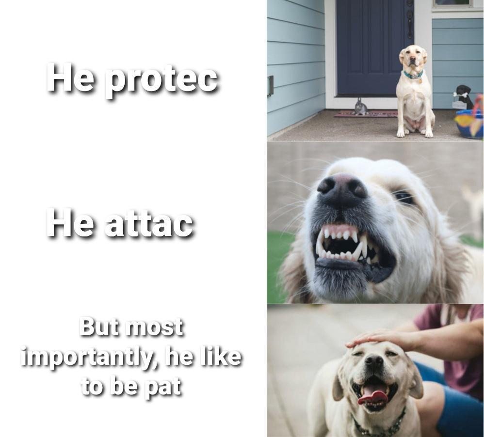 Good boi | Scrolller