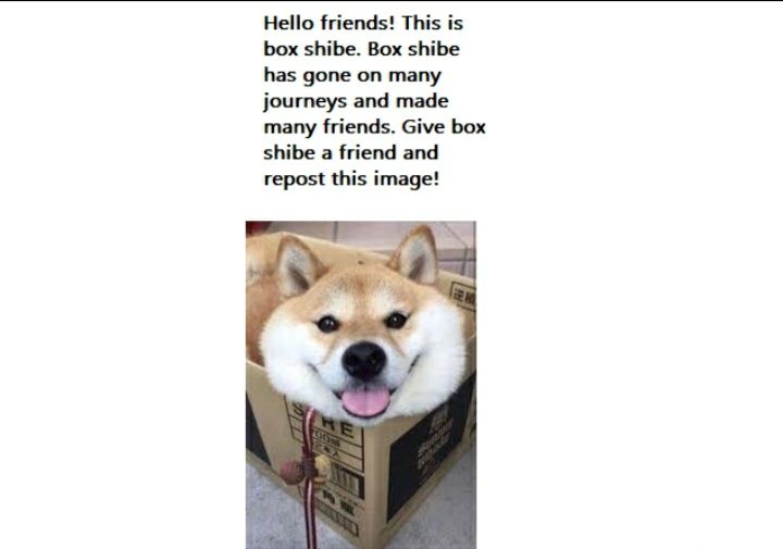 Good doggo. | Scrolller