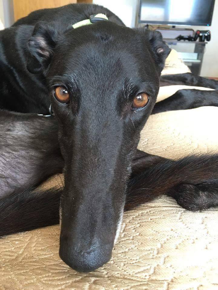 good evening | Scrolller