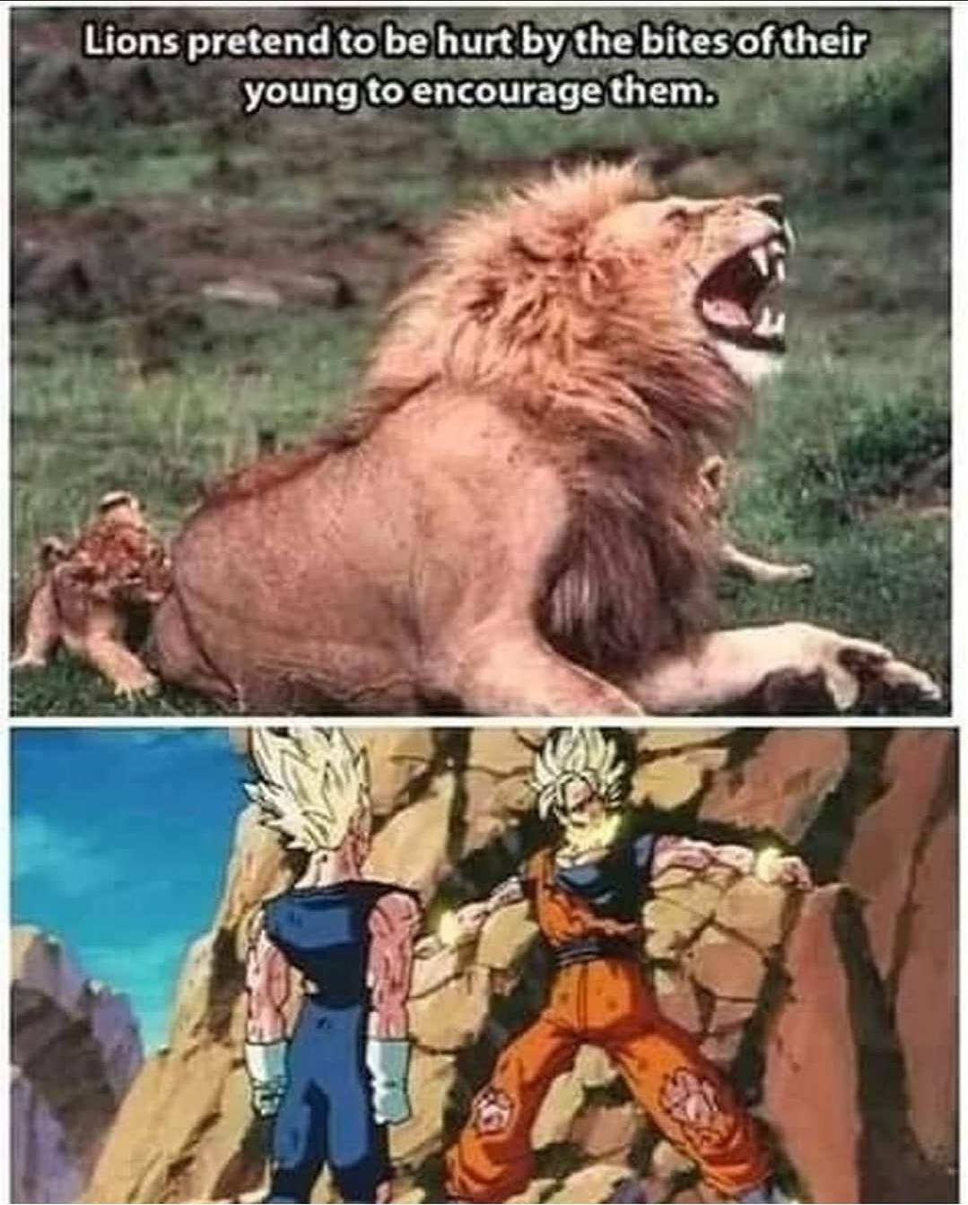 Good fight best buddy!! | Scrolller