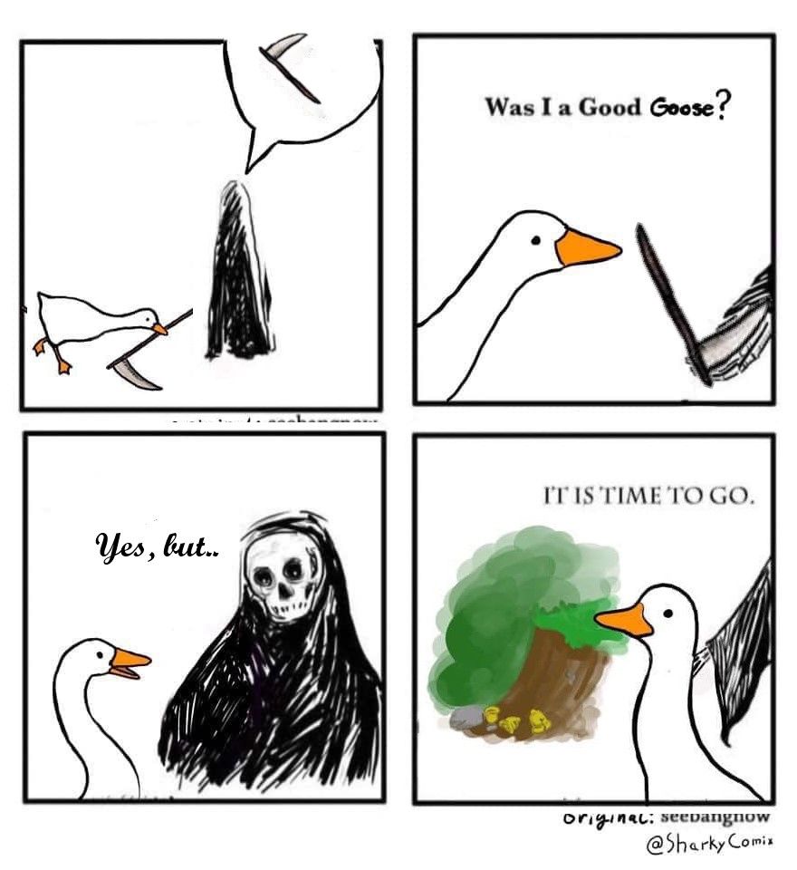 Good Goose | Scrolller