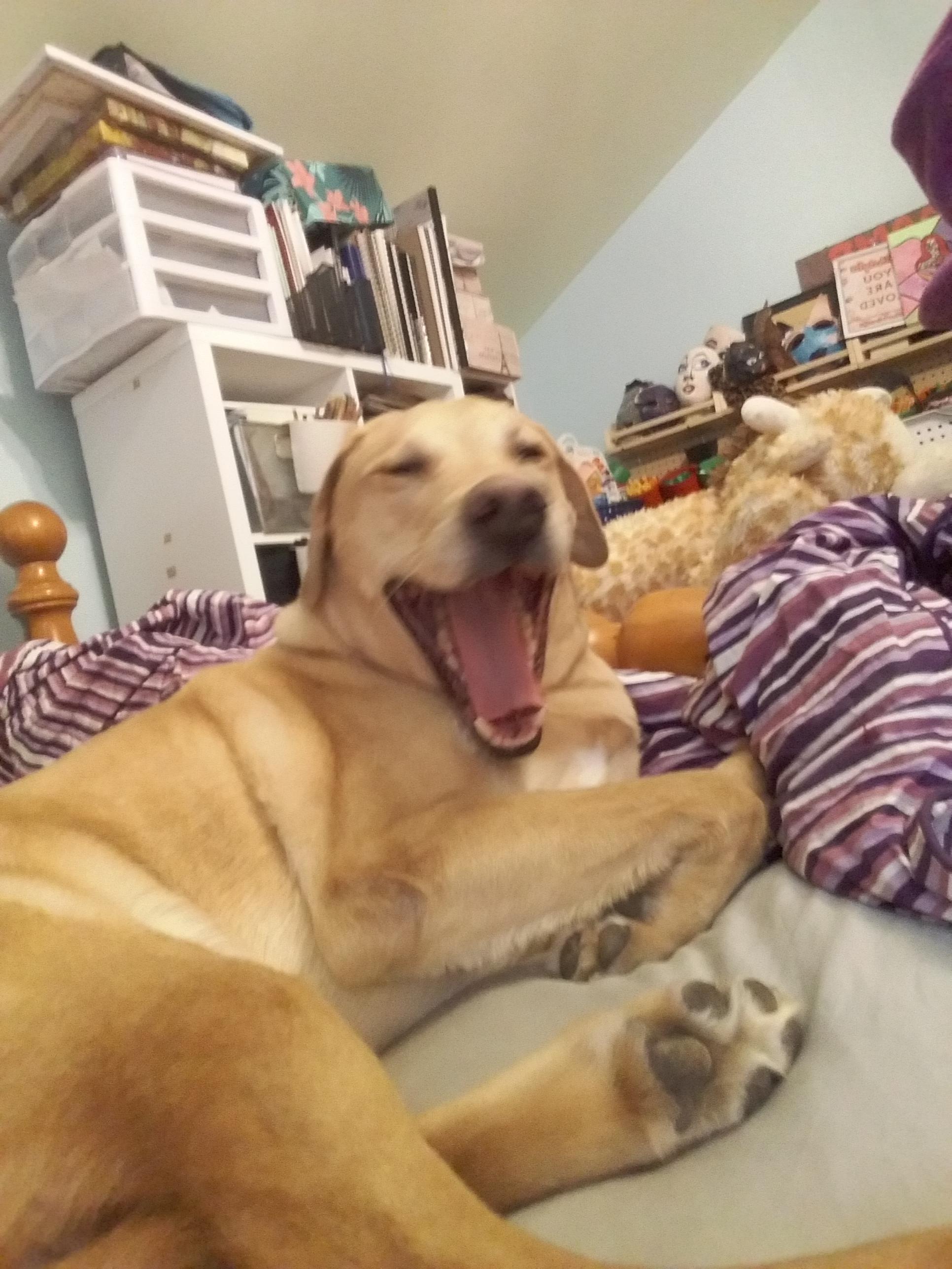 Good night hope this makes you laugh | Scrolller