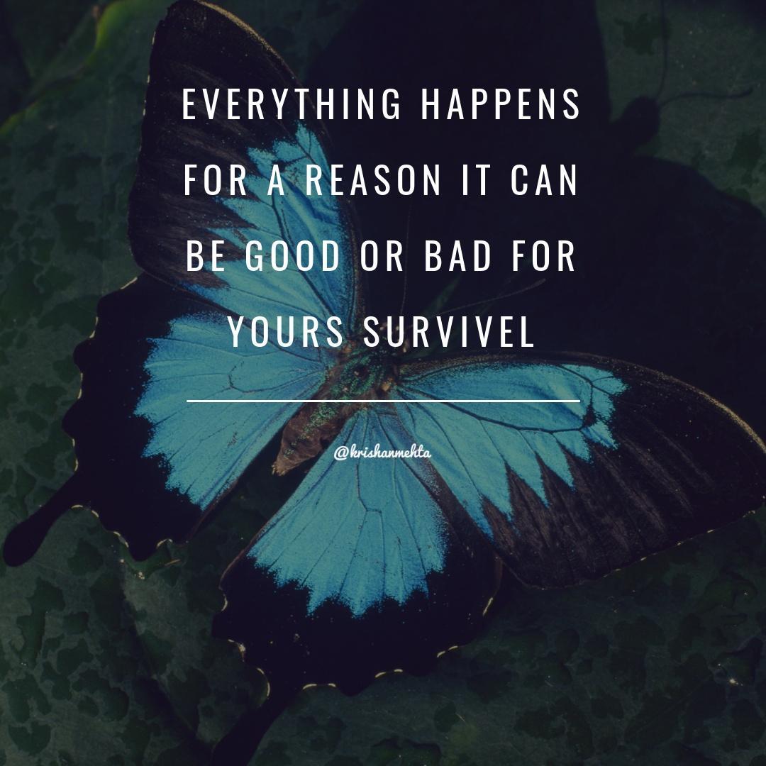 Good or bad | Scrolller