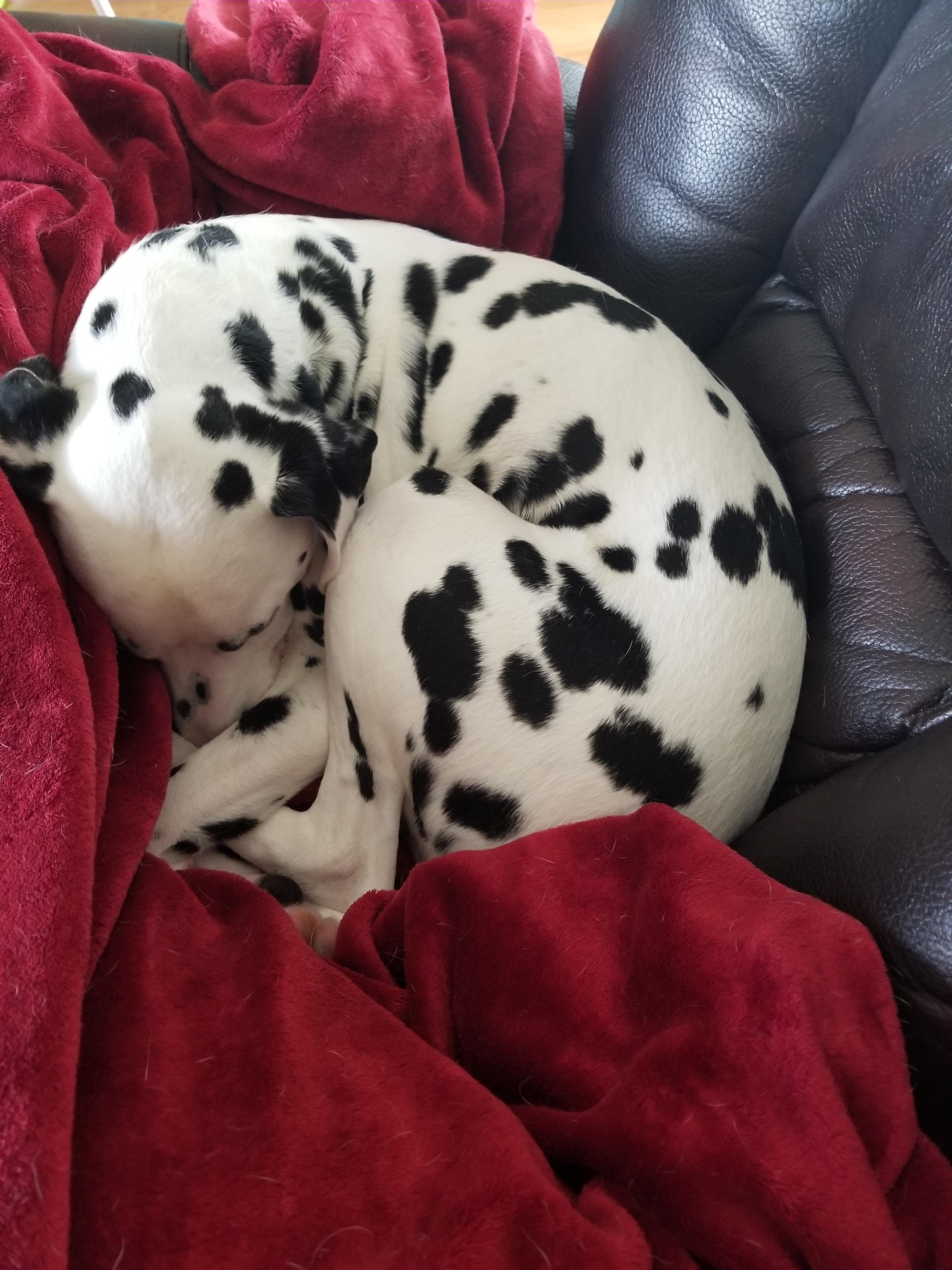 Goodbye Titan ;-( | Scrolller