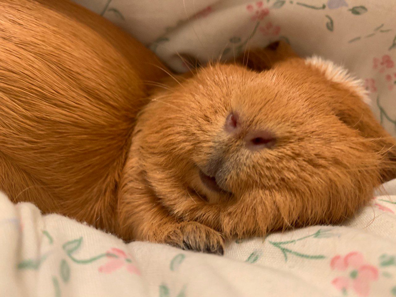 Goodnight everyone | Scrolller