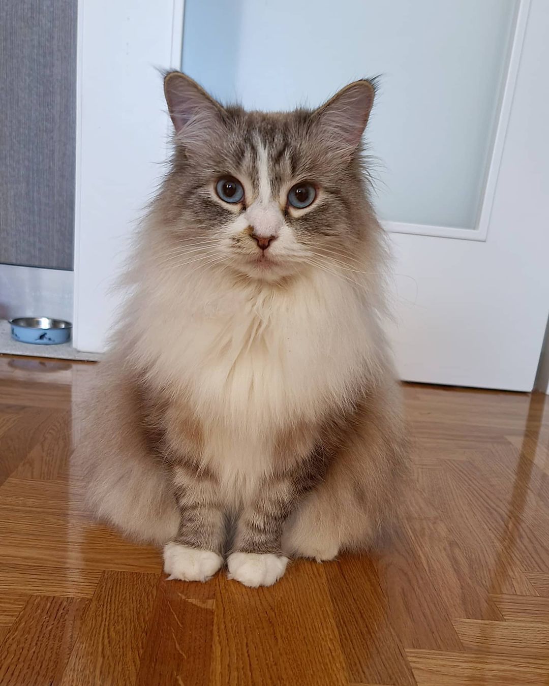 Goodnight friends you're fascinating🥰😋 | Scrolller