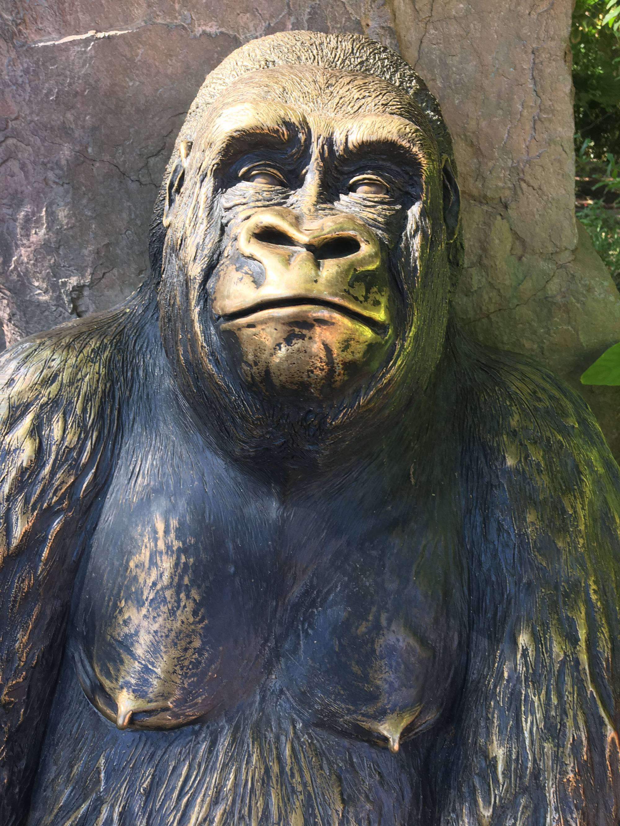 Gorilla nose and nips. | Scrolller