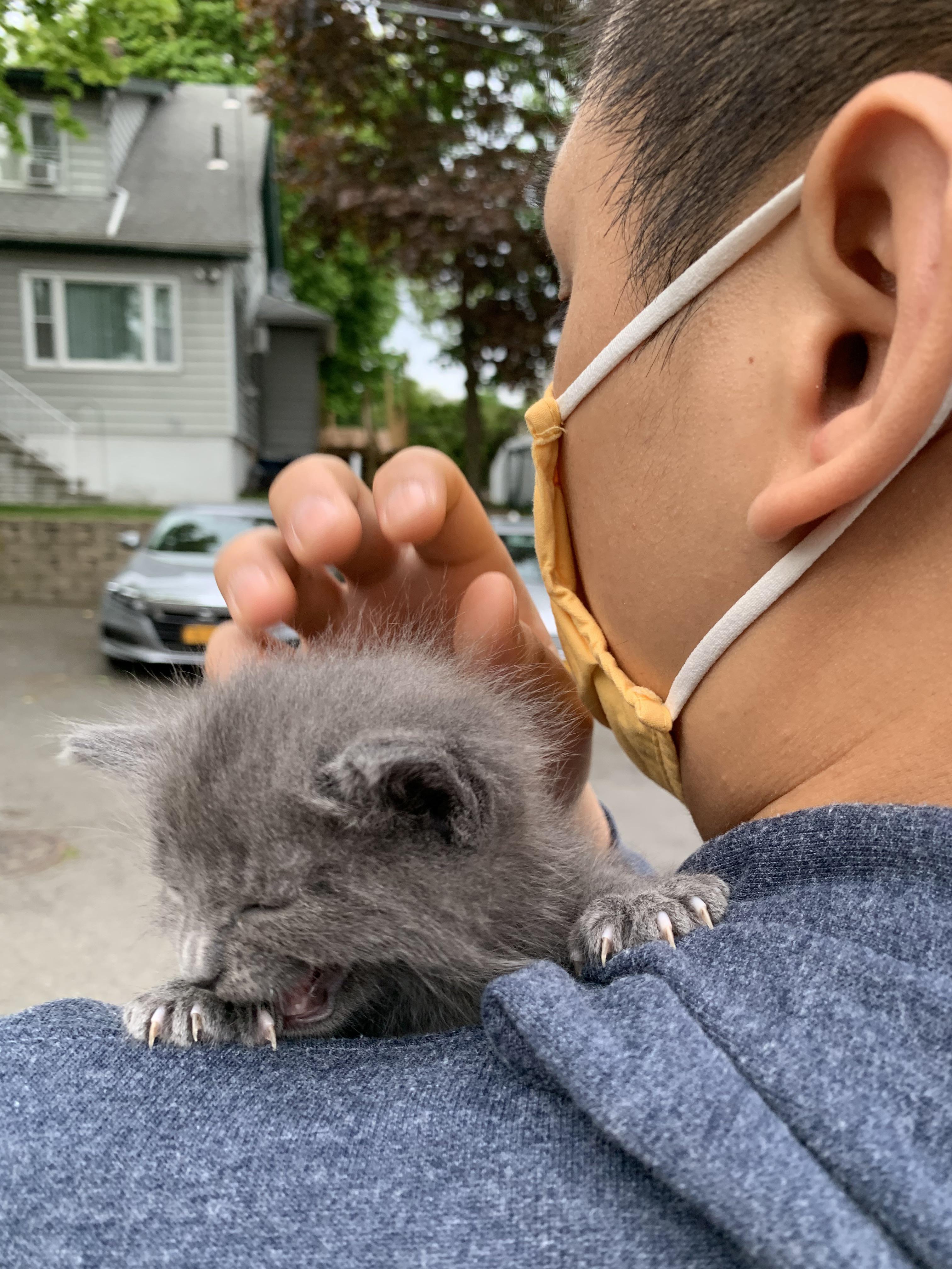 Got to bring this little guy home today. Meet Butters | Scrolller