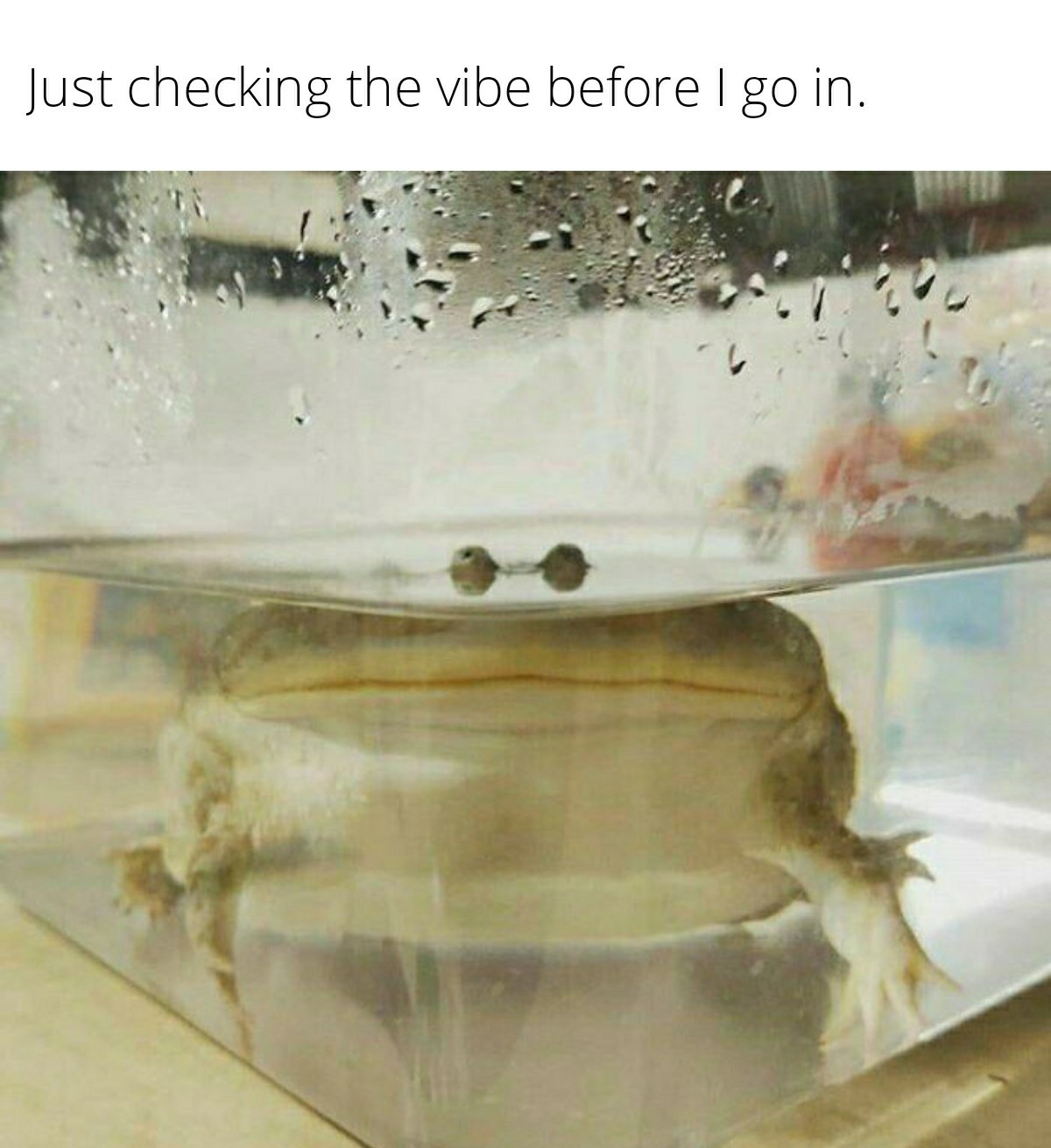 Gotta be careful now | Scrolller